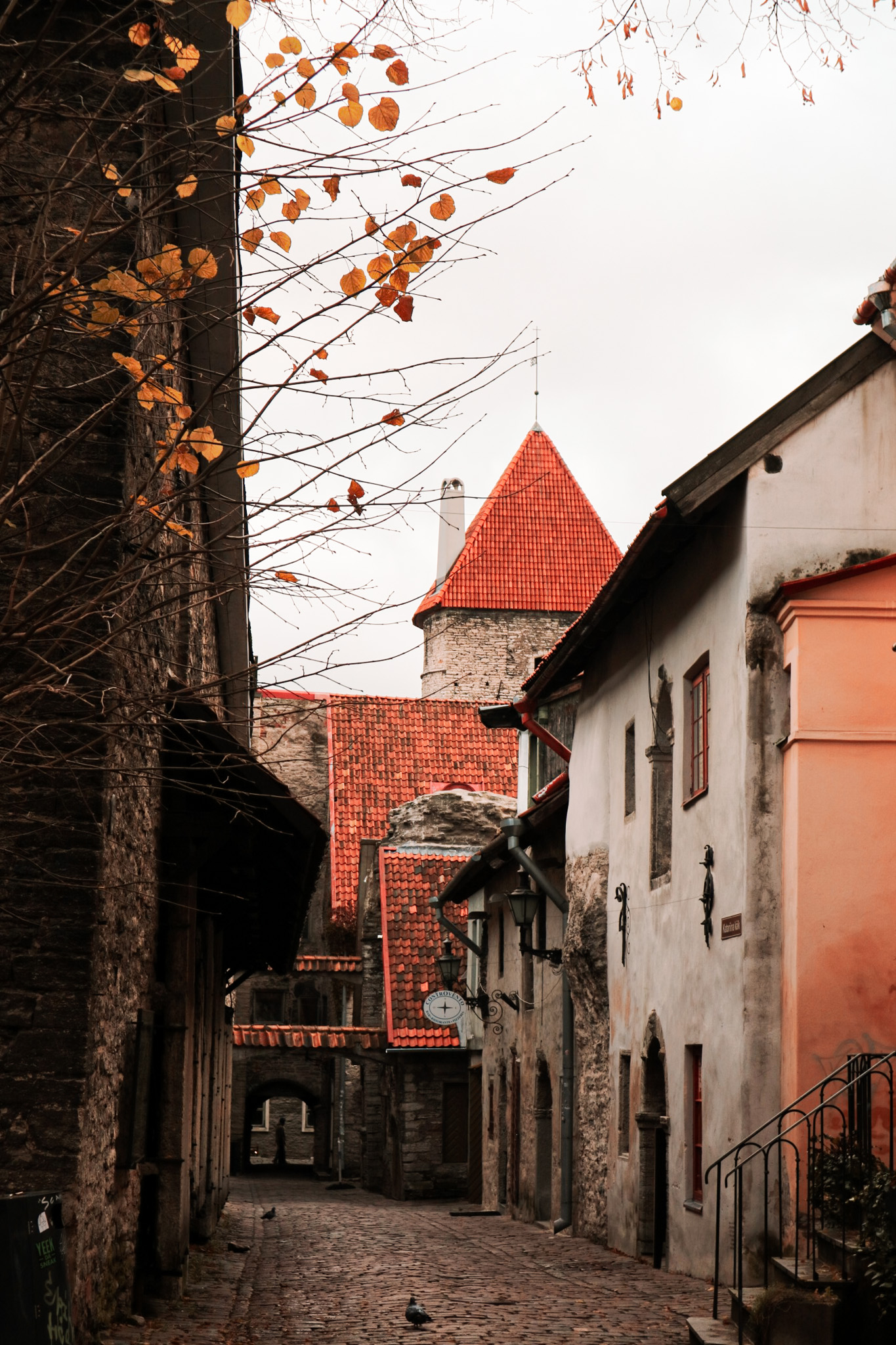20 Lugares Imperdibles en Tallin: Una Perla Báltica Medieval ...